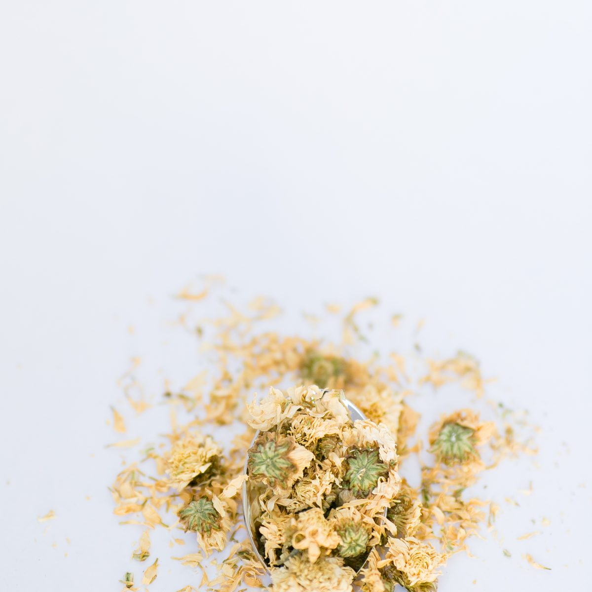 [OUT OF STOCK] Chrysanthemum Flowers - Summit Tea - Wholesale Herbs ...