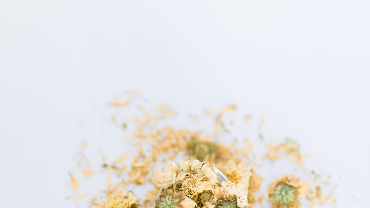 [OUT OF STOCK] Chrysanthemum Flowers - Summit Tea - Wholesale Herbs ...