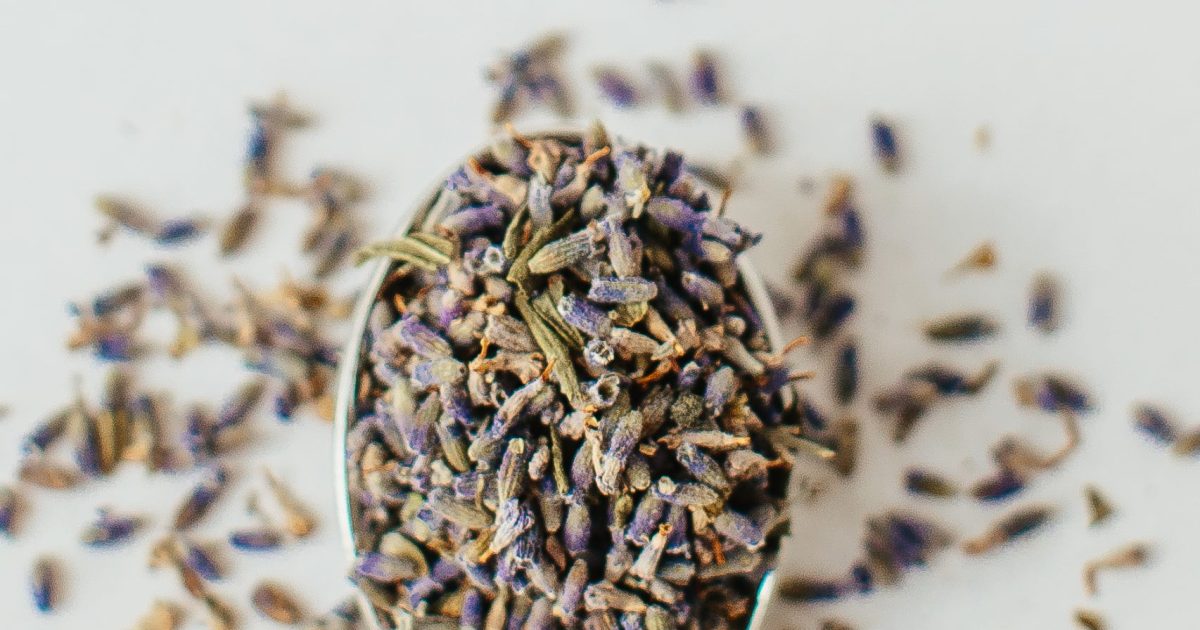 Lavender Florets - Organic - Summit Tea